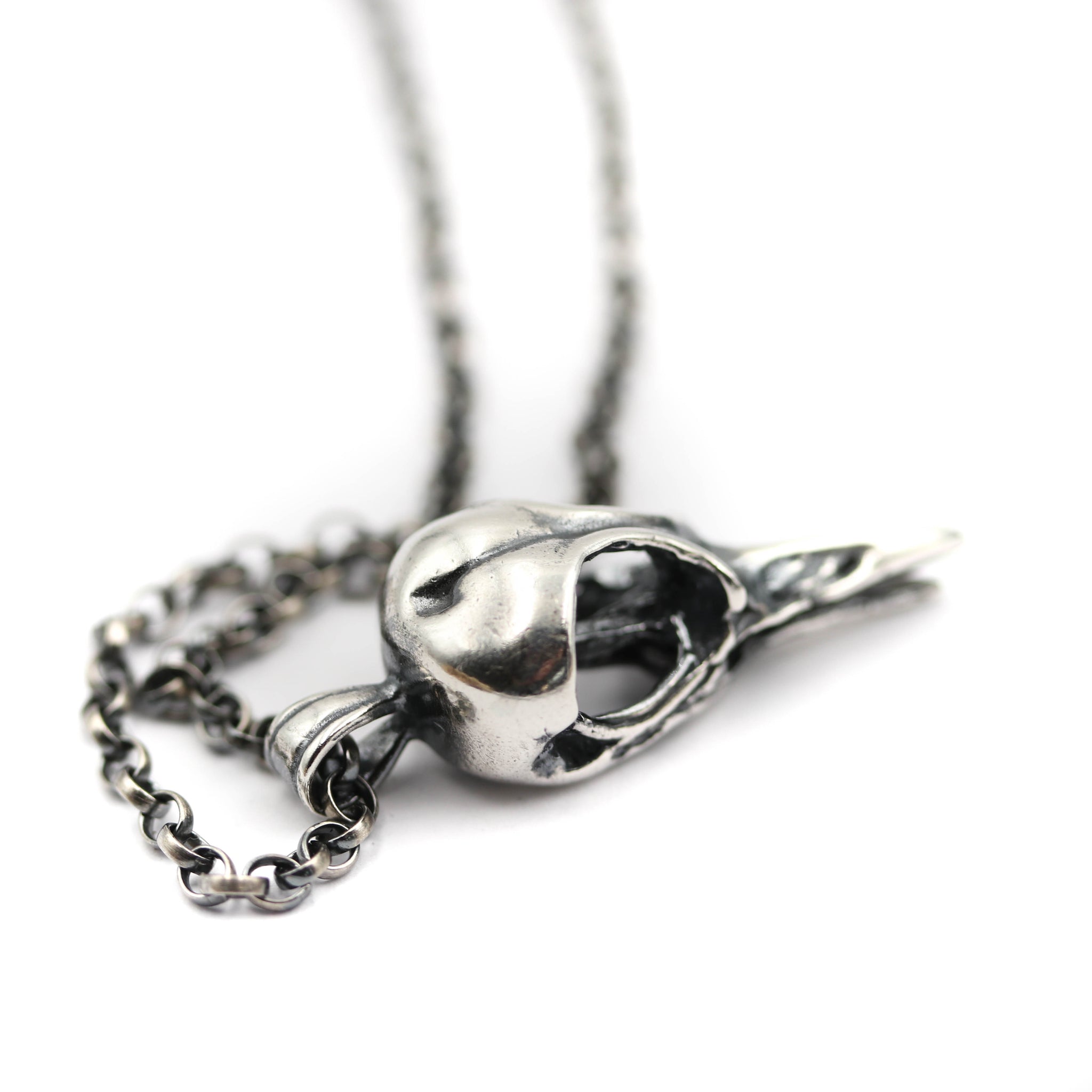 Robin skull Pendant
